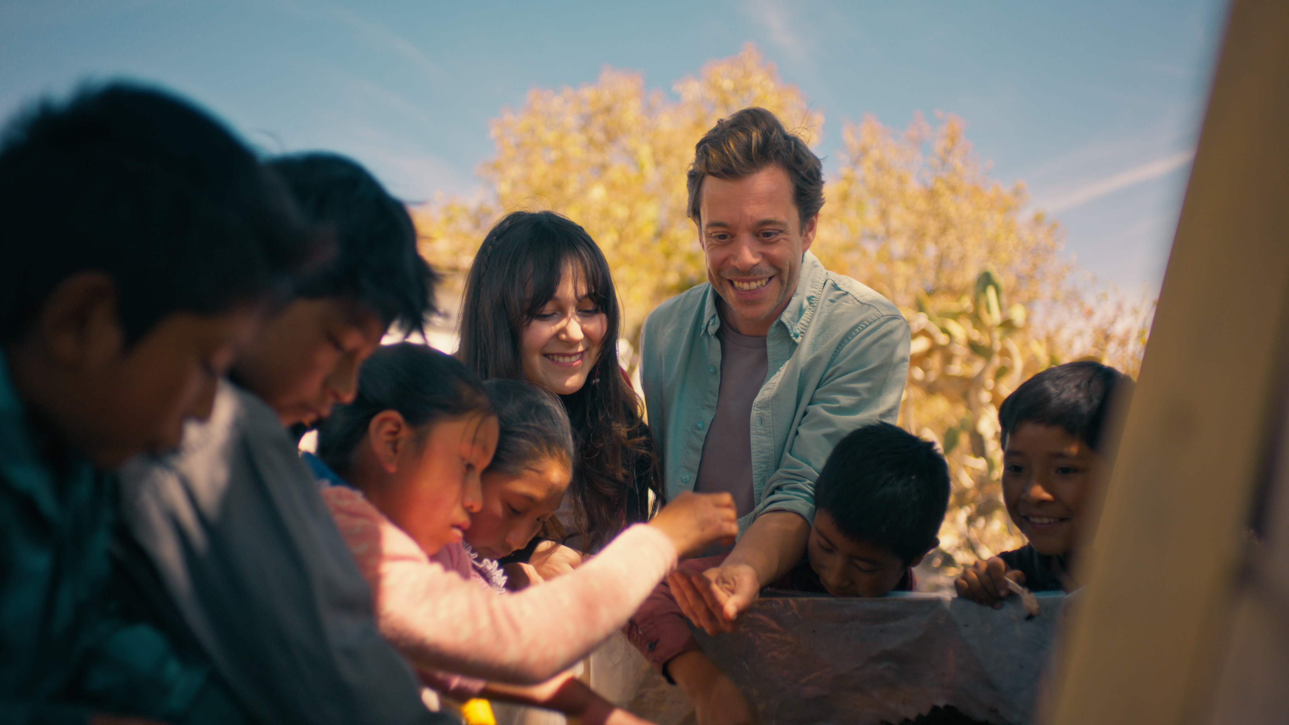 Programmkino Wels: Film Detail