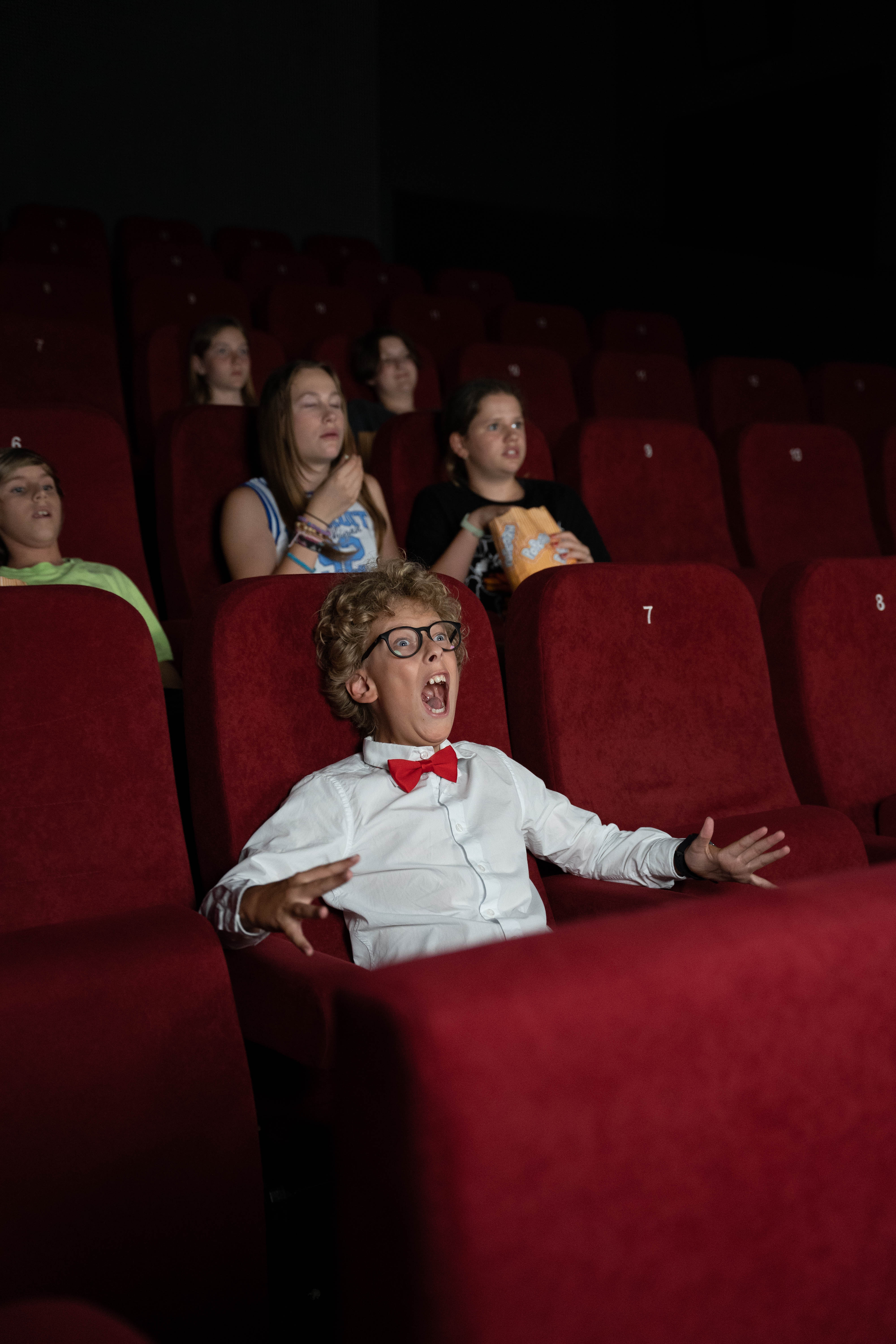 Programmkino Wels: Film Detail