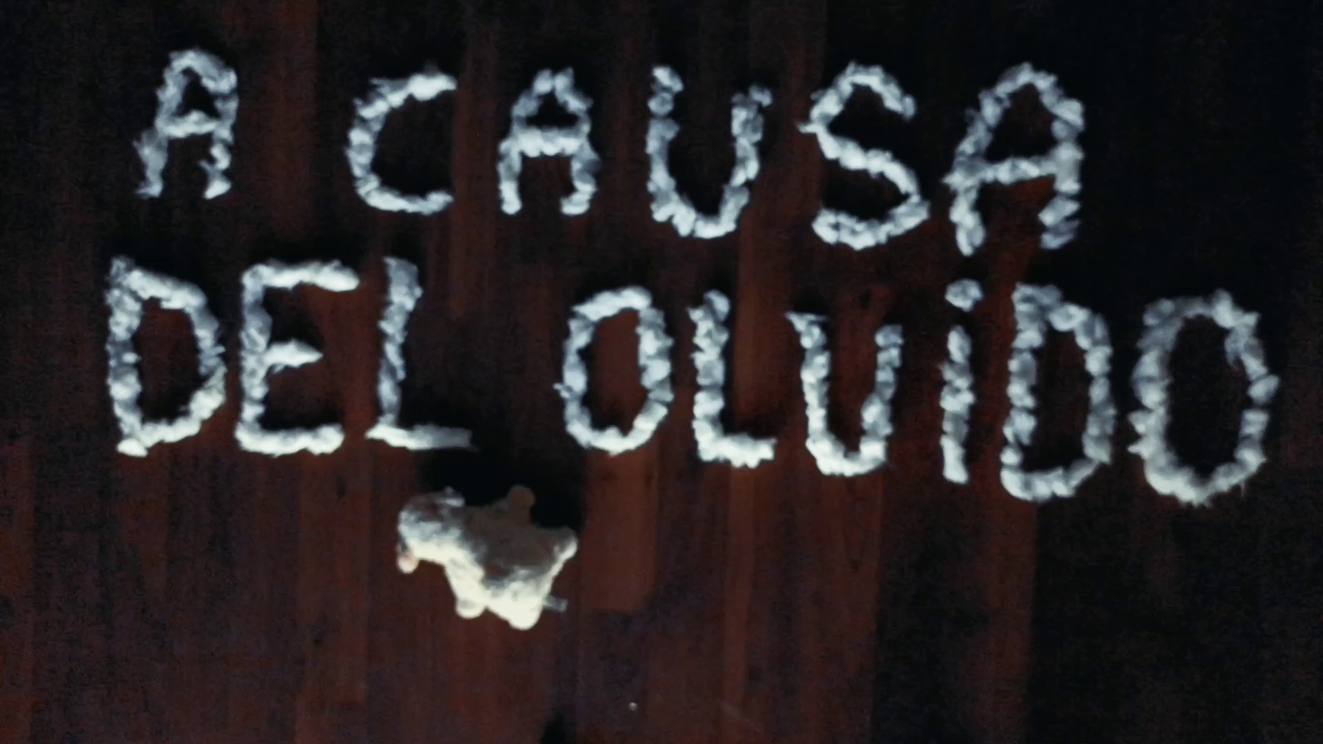 Programmkino Wels: Film Detail